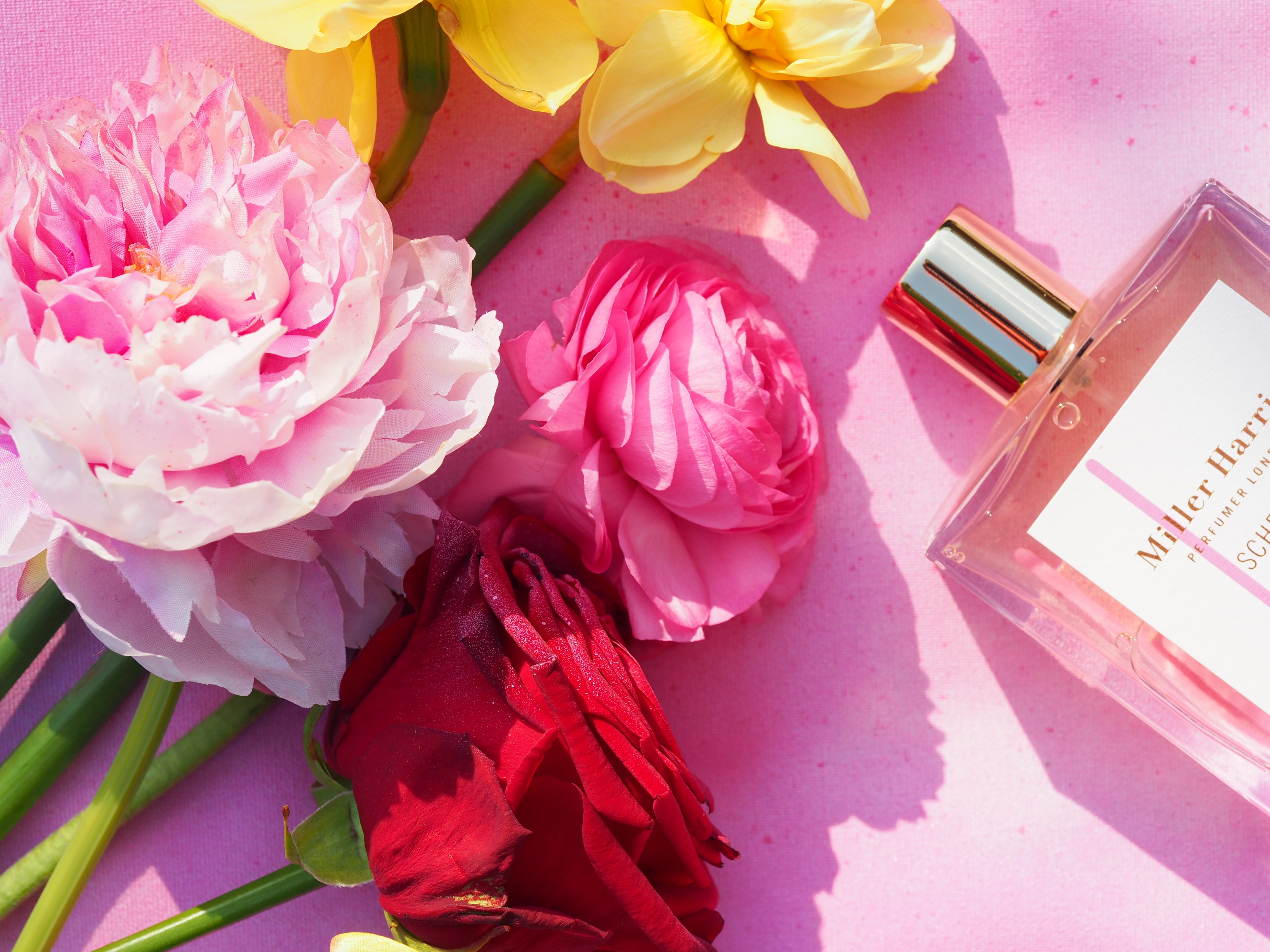 Miller Harris Fragrances & Samples – Savour Faire